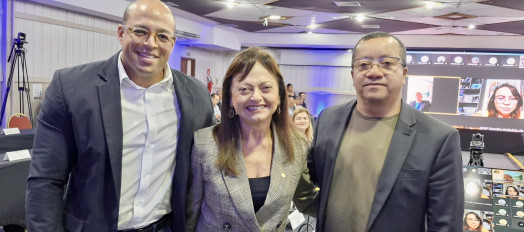 Plenário do Cofen recebe deputada Alice Portugal durante 579ª Reunião ...